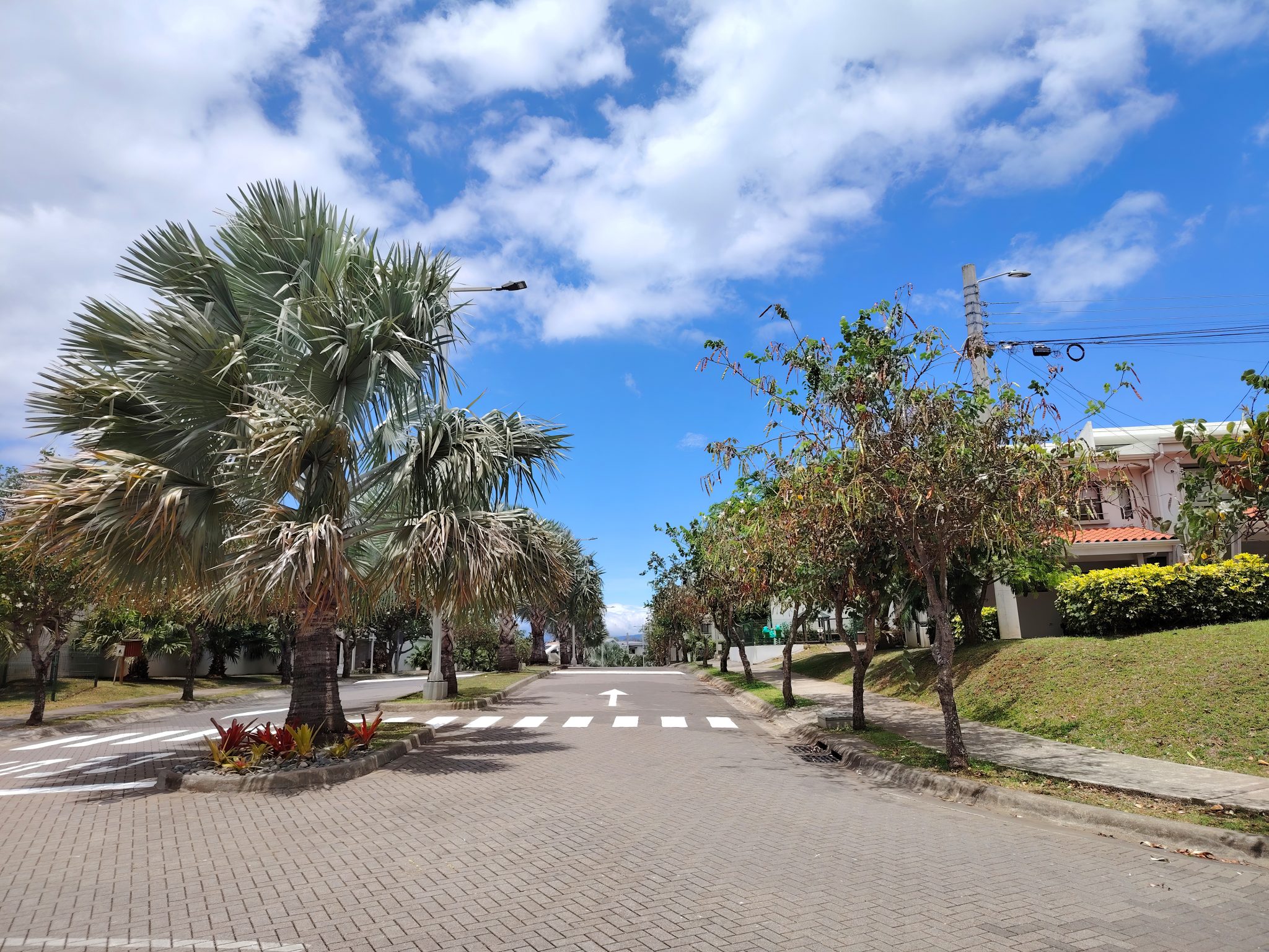 Avenir | Vivicon Costa Rica